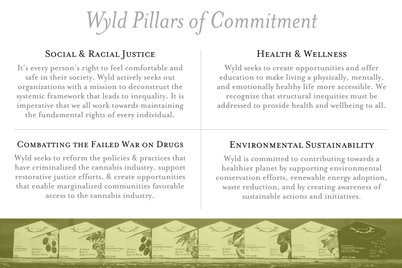 2021 Impact Report - Wyld